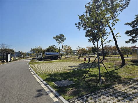 충청북도 충주시 충주 목계솔밭 캠핑장