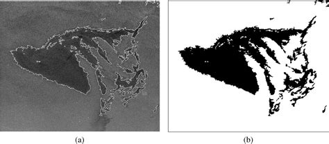 Adaptive Stochastic Minimization For Measuring Marine Oil Spill Extent In Synthetic Aperture