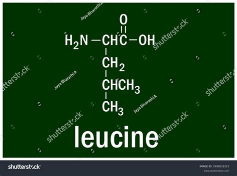 Isobutane Alkane That Propane Substituted By Stock Vector Royalty Free