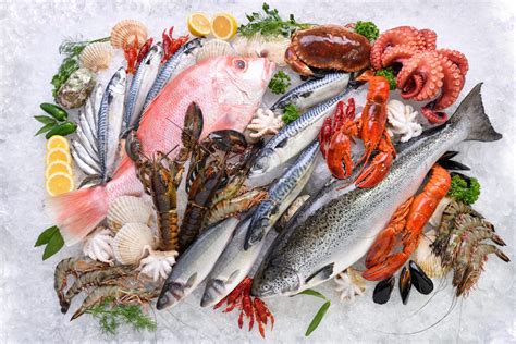 Come Capire Se Il Pesce è Fresco 4 Consigli Utili Settembrini 18