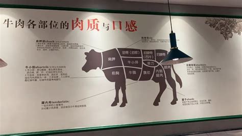 牛排分类的区别图片牛排的分类及图片大全第2页大山谷图库