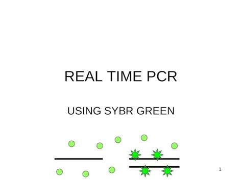 Ppt 1 Real Time Pcr Using Sybr Green 2 The Problem Need To Quantitate Differences In Mrna