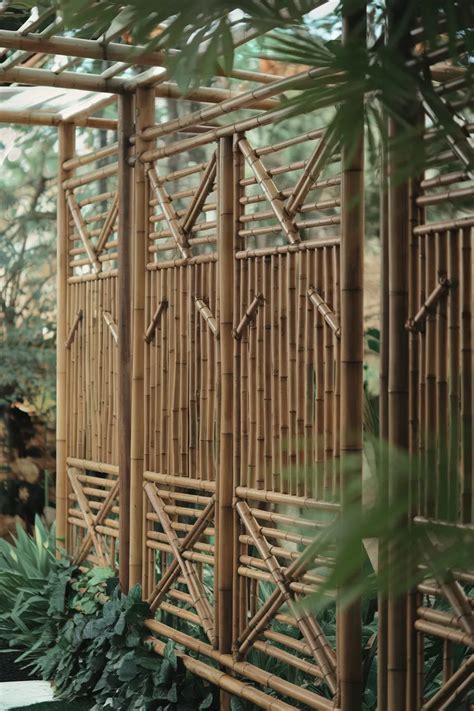 The Top Bamboo Privacy Ideas Pixel Bamboo