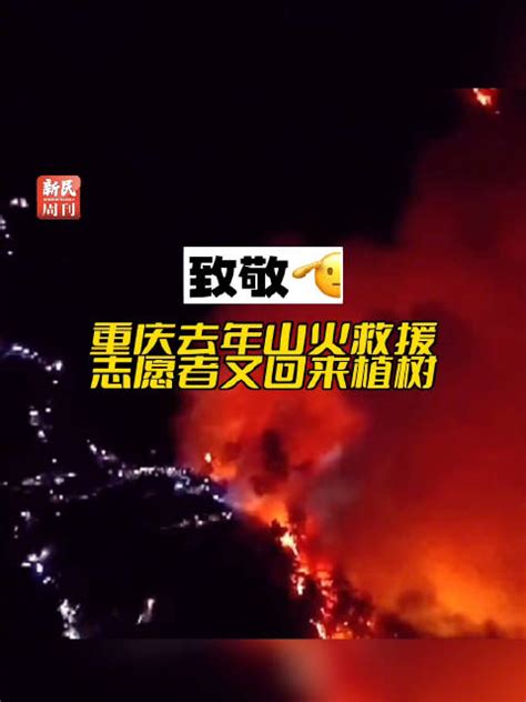 好暖！重庆去年山火救援志愿者又回来植树志愿者山火救援新浪新闻