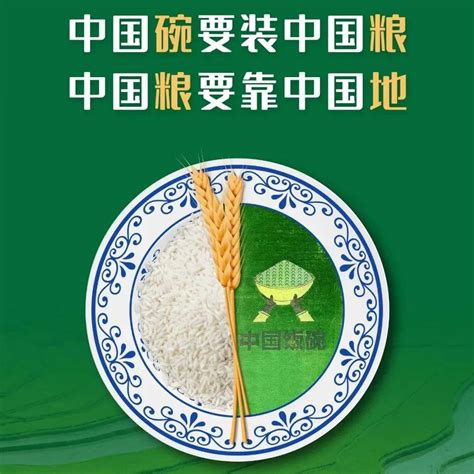海报 节约粮食 反对浪费赤峰工作新闻