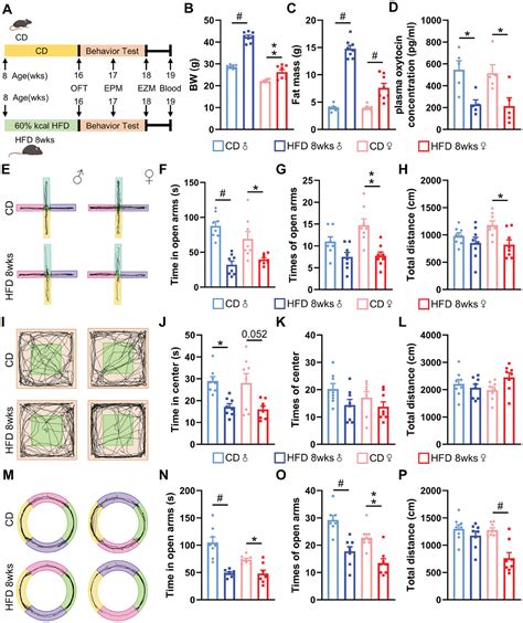 Fam172a Mediates The Stimulation Of Hypothalamic Oxytocin Neurons To