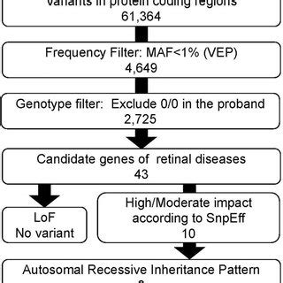 Variant Filtering Schemes This Figure Shows The Overview Of Variant Download Scientific