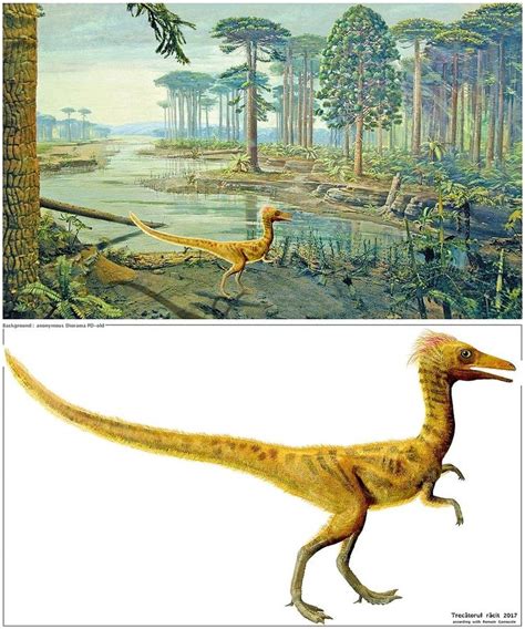 Two Pictures Of Dinosaurs In The Woods