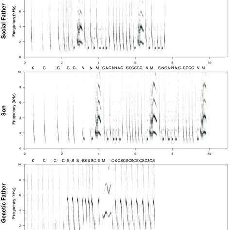 Example Of A Spectrogram Comparison Of A Son S Song Compared To That Download Scientific