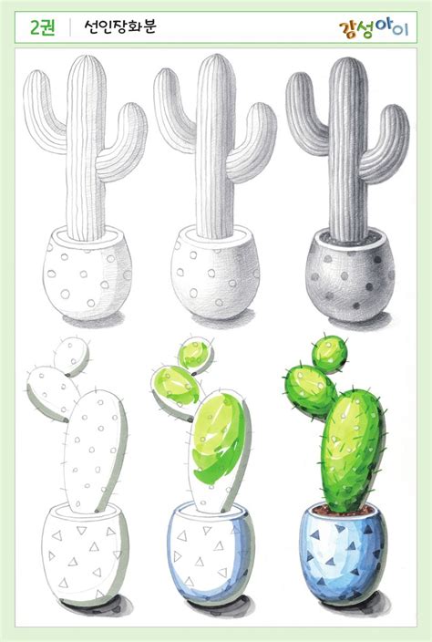 1017 17 마커 아트 색연필 예술 선인장 그림
