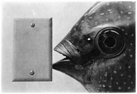 Aaron Schuman Discusses Richard Schaeffers Work Turquoise Pleasures