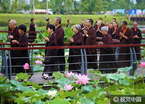 四川遂寧禪風禪韻僧人居士荷中參禪悟道 每日頭條