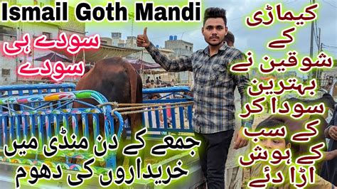 Ismail Goth Mandi Karachi Cattle Latest Rates Update Friday 31 May 2024