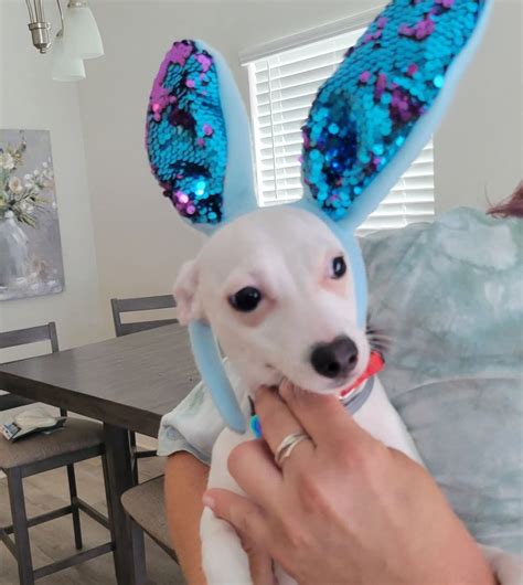 Nappy Keaster Album On Imgur