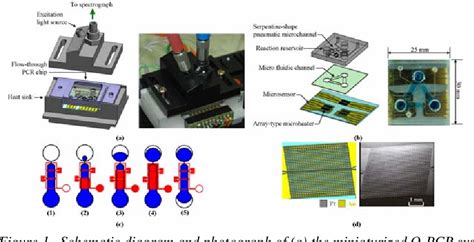 Figure 1 From Micro Q Pcr Chip On A Miniaturized Detection System For Dna Detection And