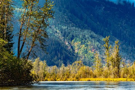 รูปภาพchilkat เลือกดูภาพถ่ายสต็อก เวกเตอร์ และวิดีโอ643 Adobe Stock