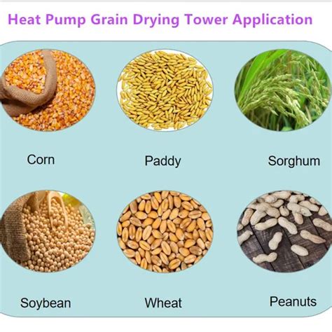 Industrial Corn Paddy Drying Machine Indian Paddy Dryer Tower Grain Dryer And Wheat Dryer
