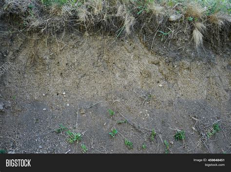 Cross Section Soil Image Photo Free Trial Bigstock