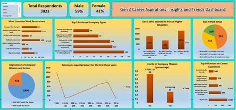 Md Amir Suhail On Linkedin Businessanalyst Datavisualization Exceldashboard Genzcareers