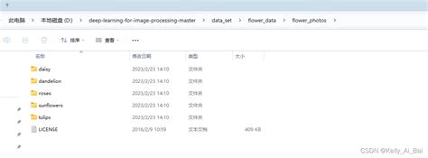 在pytorch中自定义dataset读取数据torch读入json构建dataset Csdn博客