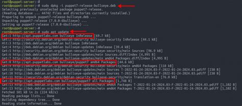 Cómo instalar el servidor y el agente de Puppet en Debian 11 HowtoForge