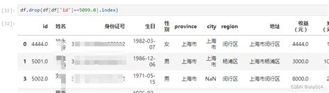 Python数据分析之Pandas的数据加载与预处理 pandas数据处理 CSDN博客
