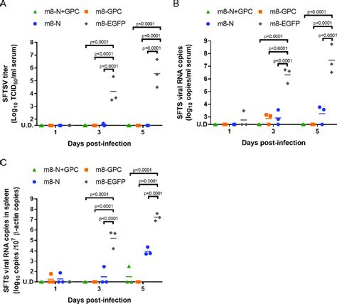 Infectious Sftsv And Sftsv Genome Levels And The Histopathological