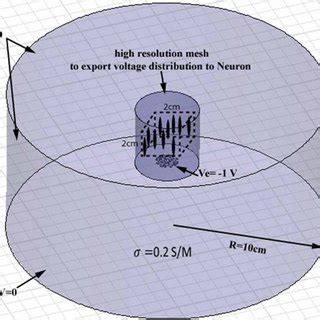 Geometry Of The Finite Element Model Of A Planar Electrode Adjacent Download Scientific