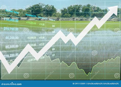 stock financial index show successful investment on food production with graph chart and arrow