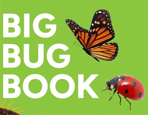 Big Bug Book Behance