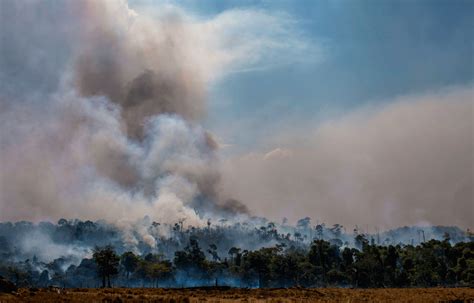 Número De Incêndios Florestais No Mundo Em 2019 é Um Recorde