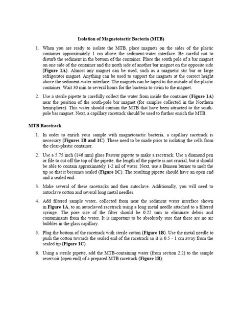 Lab 3 Mtb Isolation Pdf Microscopy Microscope