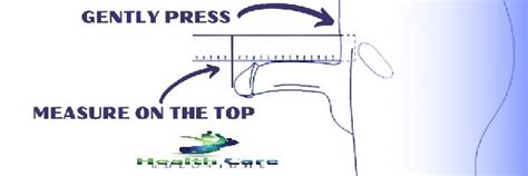 The Fast Way How To Measure A Curved Penis Correctly Health Care