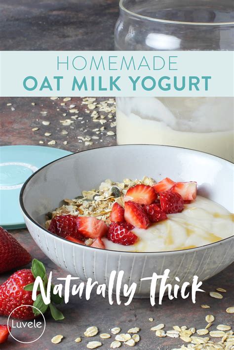 Homemade Oat Milk Yogurt Luvele Au