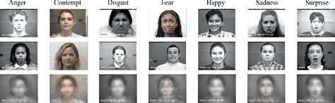 Figure From Facial Affect Detection Using Convolutional Neural Networks Semantic Scholar