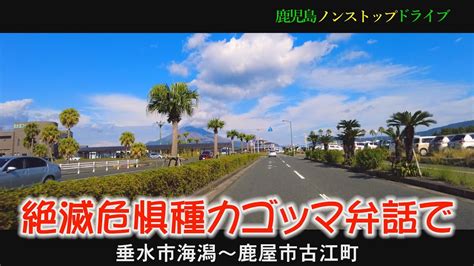 絶滅への第一歩 天気も最高 垂水市海潟～鹿屋市古江町 ノンストップで快適ドライブ 鹿児島 おまかせテレビ Youtube