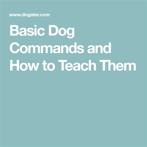 Basic Dog Commands And How To Teach Them Dog Commands Teaching Dogs