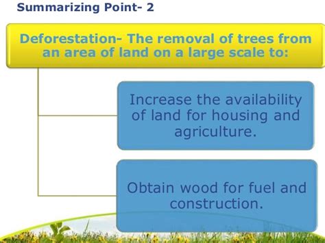 Deforestation A Quick Summary And Encouraging Questions