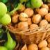 Грецкий орех Иван Багряный: описание сорта, характеристики, особенности ...