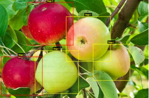 The Role Of Image Annotation In Artificial Intelligence