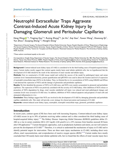 Pdf Neutrophil Extracellular Traps Aggravate Contrast Induced Acute