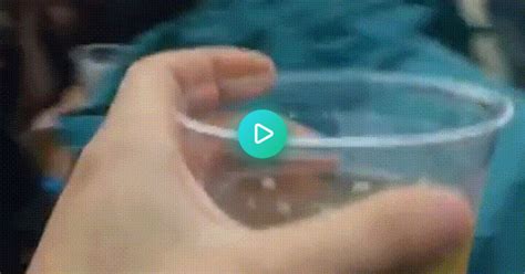 Mirin  On Imgur