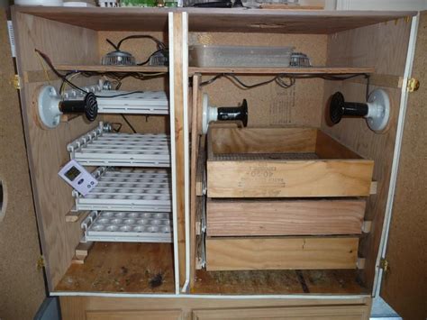 Make Your Own Incubator Duck Eggs Incubator Chicken