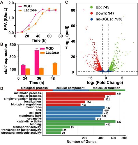 Comparative Transcriptome Analysis Of Trichoderma Reesei Reveals