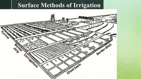Border Strip Irrigation Basin Irrigation An Overview Sciencedirect