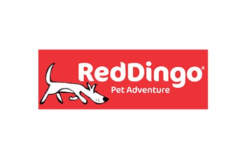 Red Dingo Logo Red Dingo