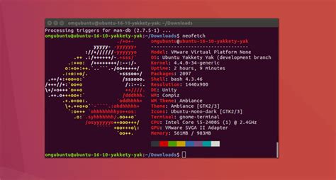 Use Neofetch To Display Linux Ubuntu System Information In