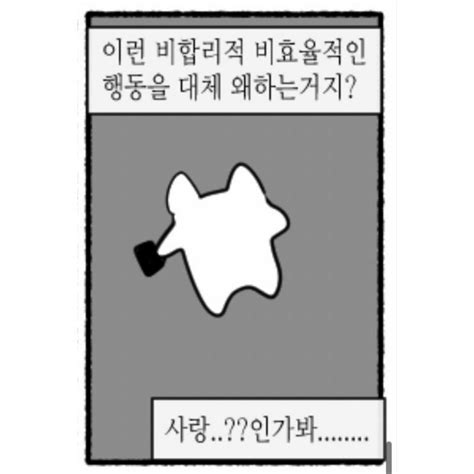 주접용 사랑짤 6 30장 └ 짤방백과 콧멍으로편입 ＊여성시대＊ 차분한 20대들의 알흠다운 공간