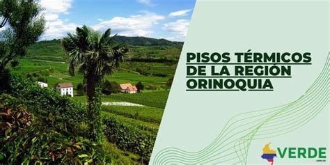 Actividades Económicas De La Región Caribe De Colombia