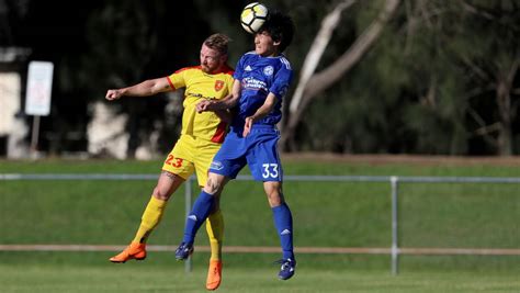 Mcnab In Doubt For Ipl Decider Illawarra Mercury Wollongong Nsw